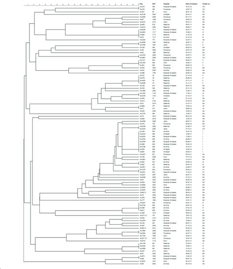 An UPGMA Derived Dendrogram Based On Allele Numbers Of Seven Download Scientific Diagram
