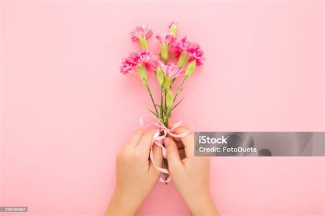 밝은 분홍색 테이블 배경에 리본을 가진 분홍색 카네이션의 신선한 아름다운 꽃 꽃다발을 들고 어린 아이 소녀 손 파스텔 색상 근접 촬영 시점 샷 하향식 보기 감사에 대한 스톡