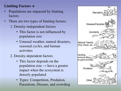 Limiting Factors In An Ecosystem