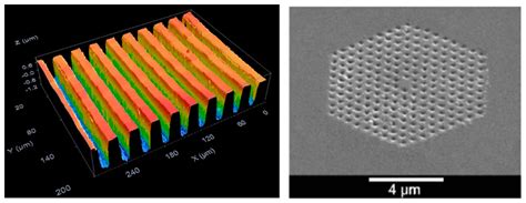 Biomimetic Liquid Repellent Surfaces By Ultrafast Laser Processing