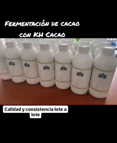 Cacao Catacion Europa Secretariadeagricultura Blueandgrewnsolutions Cacao Catacion