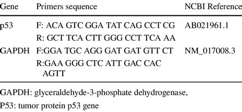 Primers Sequence Used For Qrt Pcr Download Scientific Diagram