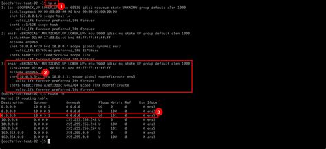 Assign An Ip Address To A Second Interface On An Oracle Linux Instance