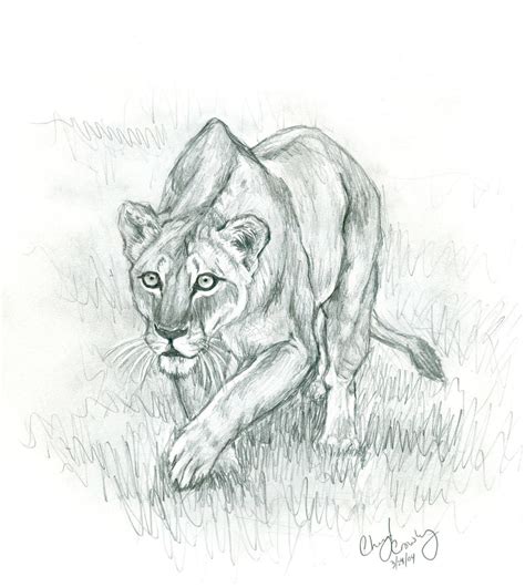 Lioness By Silvercrossfox On Deviantart