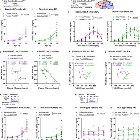 Sex Dependent Effects Of Csf1r Are Not Caused By Peripheral Toxicity A Download Scientific