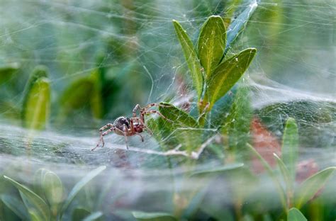 From Concept To Launch The Web App Development Process Explained Kmf Blogs