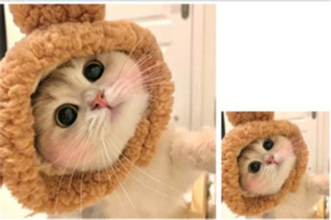 前端web入门 Css Day04 Css属性 Csdn博客 前端web入门 Css Day04 Css属性 Csdn博客