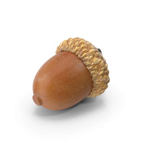 Roblox Acorn Sex Rlue34 Png Images And Psds For Download Pixelsquid