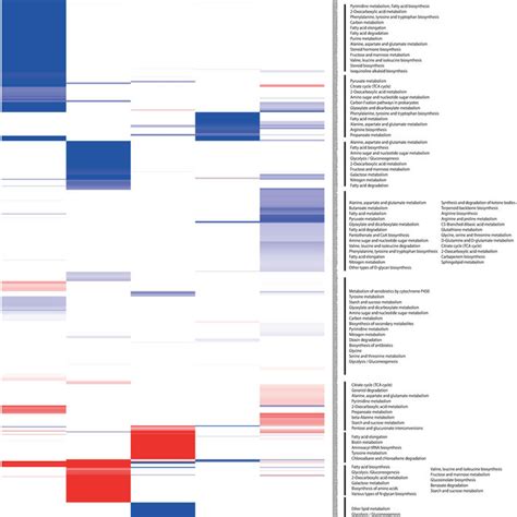 Tutorial Clc Genomics Workbench Urbanres