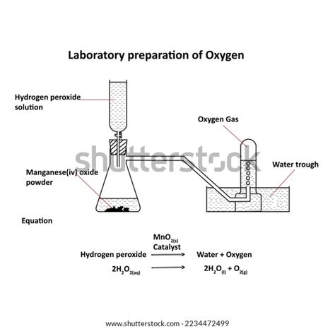 Laboratory Preparation Oxygen Black White Drawing Stock Illustration