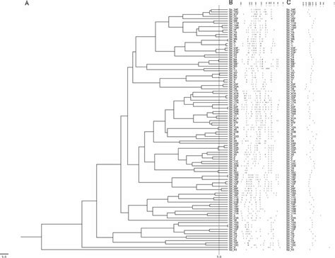 clustering the in silico cps rflp patterns calculated for the reference