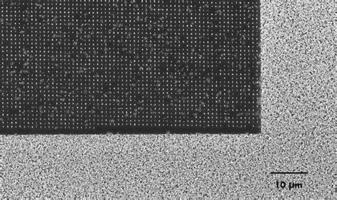 scanning electron microscopy sem micrograph showing patterned and