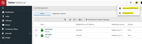 Remote Infrastructure Management Veritas Netbackup 812 Webui