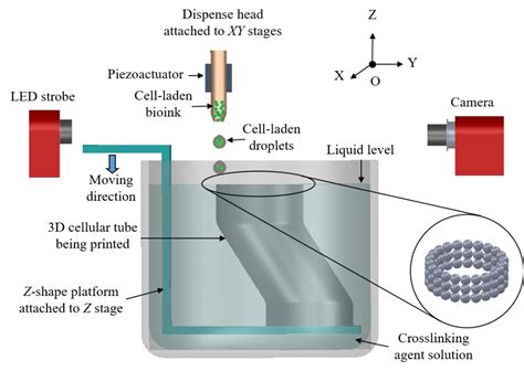 Bioprinting And Biofabrication Laboratory Imse Ttu