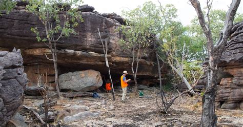 Data Collection Storage And Analysis For Researchers Environmental Systems Solutions