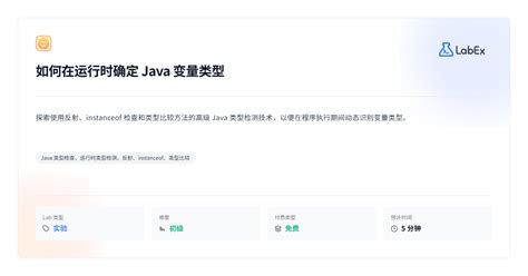 如何在运行时确定 Java 变量类型 Labex