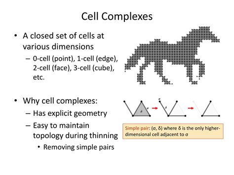 ppt a simple and robust thinning algorithm on cell complexes