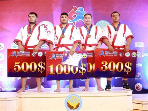 Монголын үндэсний олон нийтийн радио телевиз