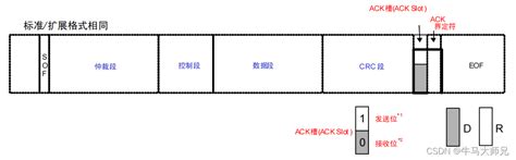 嵌入式linux开发 Socket Can通信驱动硬件编程linux Can源码 Csdn博客