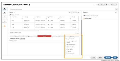 15 Dataset Inputs And Curve Manager — D3view Workflows Documentation Documentation