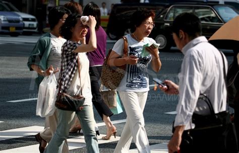 Айгам халууны улмаас 30 мянган хүн эмнэлэгт хүргэгджээ