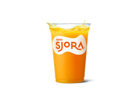 NestlÉ Sjora Bulk Beverages Nestle Professional