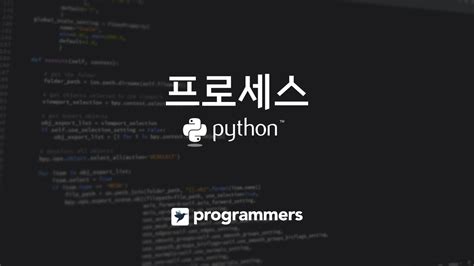 프로그래머스 프로세스 파이썬python 우당탕탕 개발자 되기 프로젝트 프로그래머스 프로세스 파이썬python 우당탕탕 개발자 되기 프로젝트
