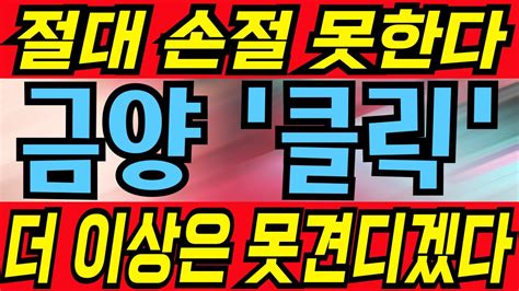 금양 주가전망 클릭 더이상은 못견디겠다 절대 손절 못하겠다 힘들다 Youtube