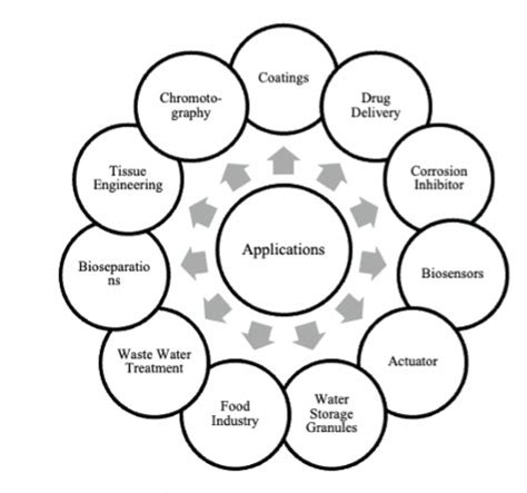 Solved PYQs Science Technology With Explanation UPSC Prelims Max IAS