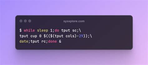 Bash Question Can You Figure This One Out What Is The Output Of This