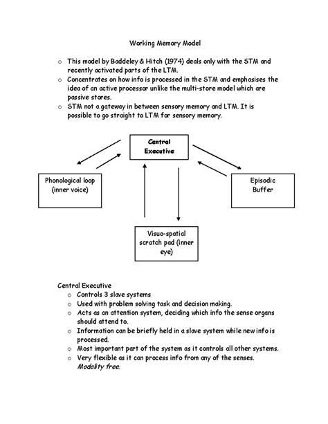 Working Memory Model Notes Working Memory Model O This Model By Baddeley Hitch 1974 Deals