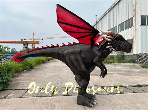 Dragon Costume Diy