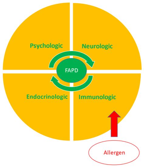 Four Primary Interacting Systems Generate The Symptoms Of Functional Download Scientific