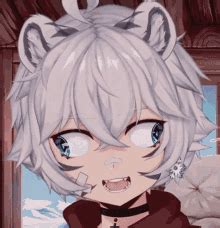 Bungo Taiga Taigs Gif Bungo Taiga Taiga Bungo Discover Share Gifs