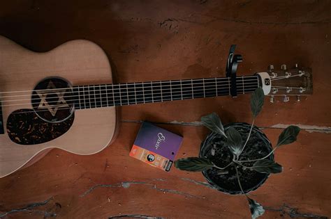 Transformer Based Optical Character Recognition With Pre Trained Models` 논문 학습 By 박호준 취미로 논문