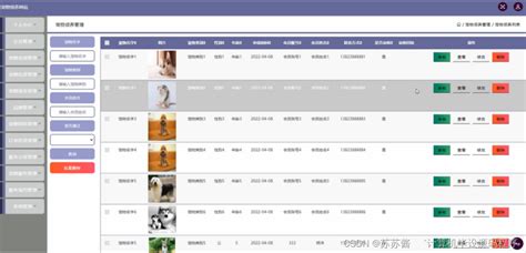 独有源码 Java Jsp宠物领养网站9tv05规划与实现适合自己的毕业设计的策略 Csdn博客