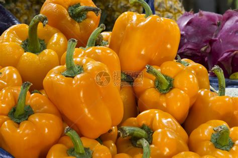 用于adv或其他用途的黄高清图片下载 正版图片503195736 摄图网