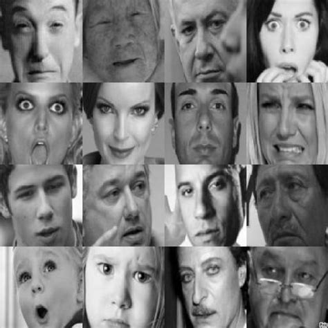 Joel Emotion Recognition Object Detection Dataset And Pre Trained Model By Skripsi