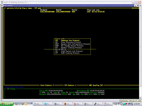 Lan Switch Security What Hackers Know About Your Switches Cisco Press