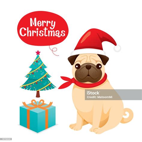 선물 상자와 나무 소원 메리 크리스마스와 크리스마스 모자를 입고 퍼그 개 퍼그에 대한 스톡 벡터 아트 및 기타 이미지 퍼그