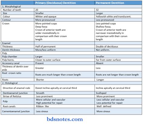 Primary Deciduous Teeth Question And Answers Bds Notes