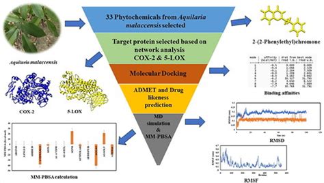 Journal Of Biomolecular Structure And Dynamics Vol 42 No 22