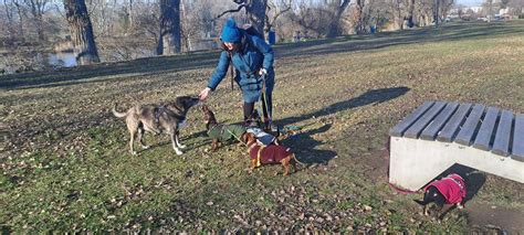 Getnextto Ulli Reichmann