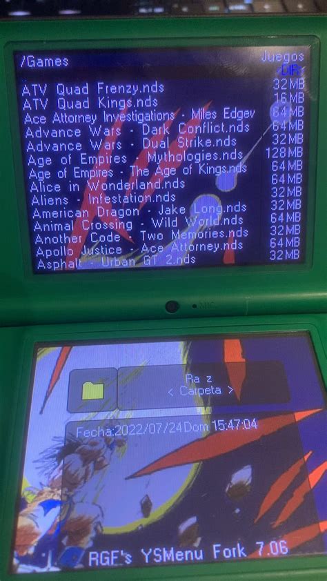 Same R4i Different Consoles White Screen R Flashcarts