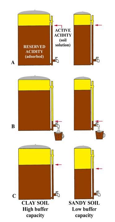 Soil PH And Buffer PH