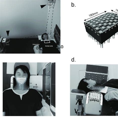 Stimulation Artifact Removal By Dual Signal Subspace Projection Dssp