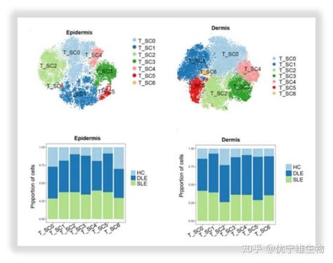 【单细胞测序系列10】单细胞测序显示红斑狼疮皮肤病变的细胞异质性 知乎
