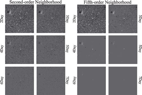 Figure 1 From Constructing Microstructural Evolution System For Cement Hydration From Observed