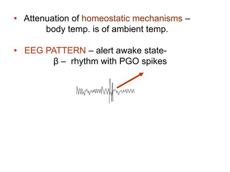 Sleep Physiology And EEG Waves In Humans PPT PPTX