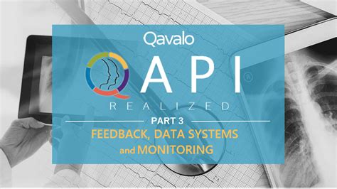 Qapi Realized Feedback Data Systems And Monitoring Part 3 Of 5 Qavalo